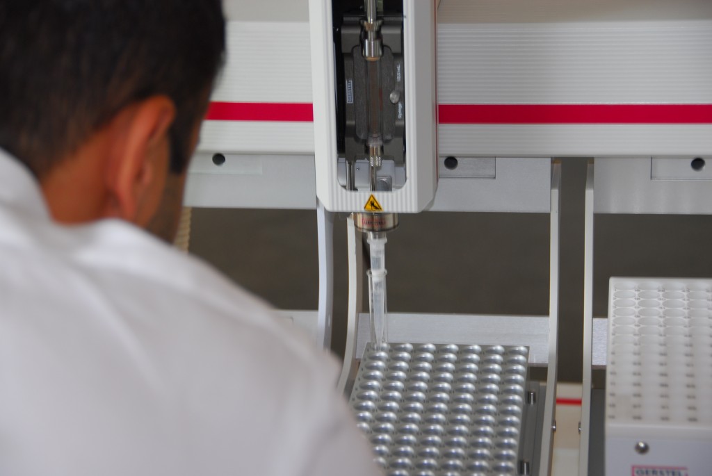 About MSC - msconsult.dk