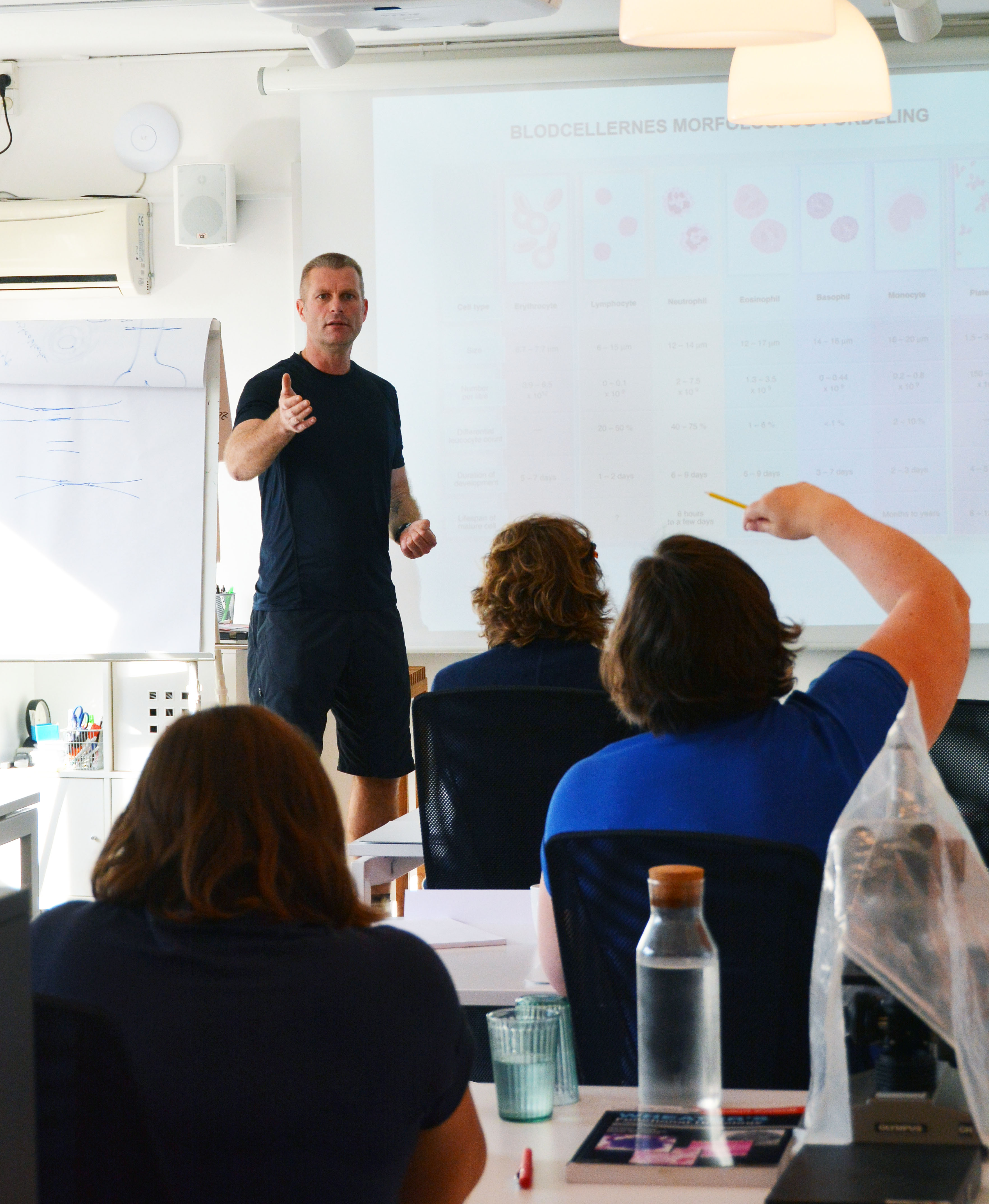 Training - msconsult.dk